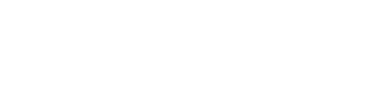 ABOUT US | Agile Interoperable Solutions