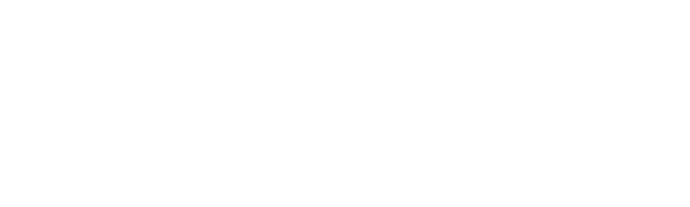 ABOUT US | Agile Interoperable Solutions